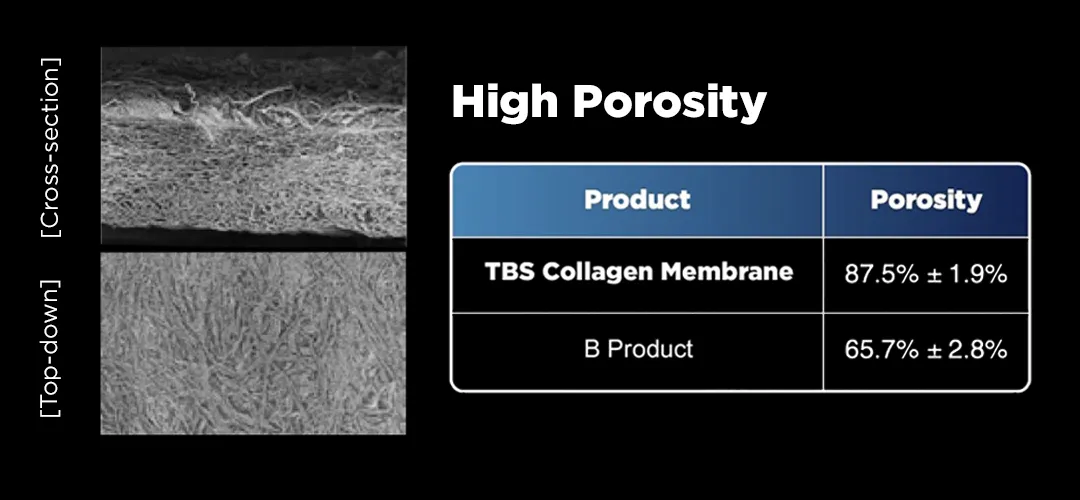 TBS Collagen Membrane – 20 x 30 mm | TBS Dental